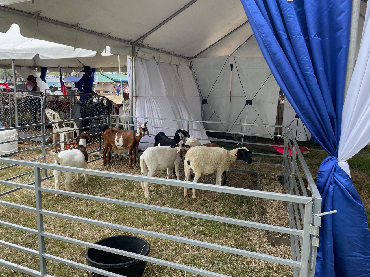 Congrats to a successful NATS 2024!