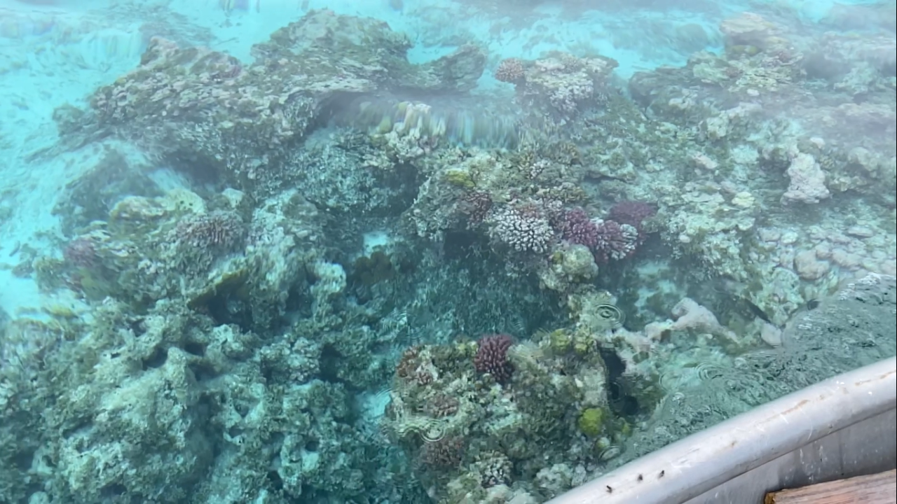 2-7 林大使於 Nukulaelae 小離島 Motuloa視察簡易機場跑道 (攝於2022.03.11 Nukulaelae) - 駐 ...